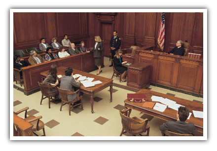 Role of a court planning consultant